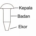 √ Paku Keling : Pengertian dan Cara Memasang [Lengkap] - Teknikece